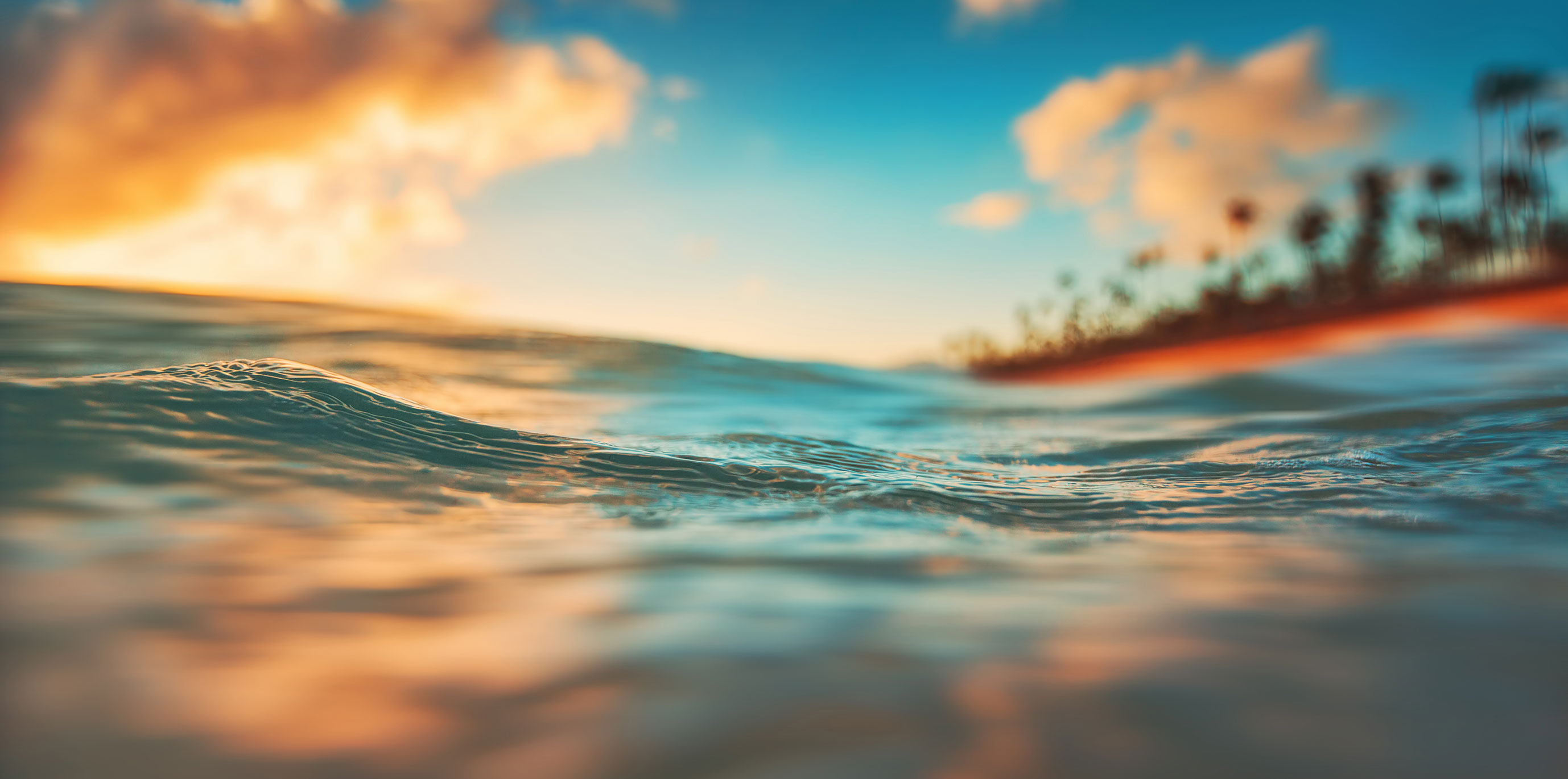 Cursos eLearning | PADI